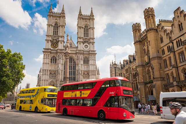 Interesting Facts about Buses That You Should Know - Bus routes and ...